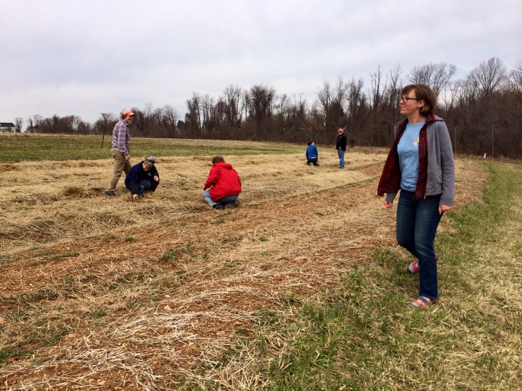 Community Supported Agriculture Helps Local Farm Grow (Video ...