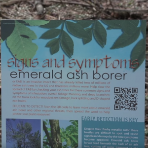 emerald ash borer sign | Montgomery Community Media