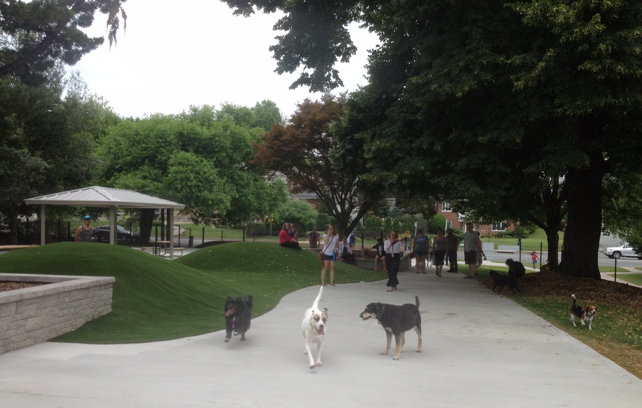 Ellsworth Urban Dog Park Opens in Silver Spring (PHOTOS) | Montgomery ...