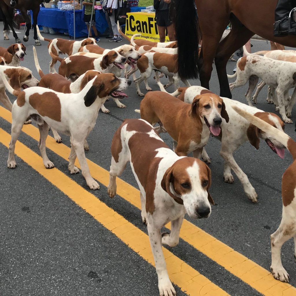 Poolesville Day Shows Off the Community | Montgomery Community Media