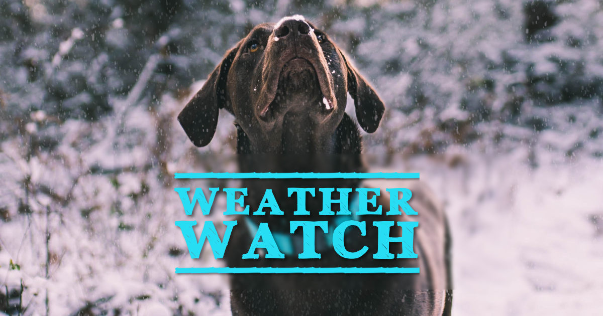 County Extends Extreme Cold Plan Through Sunday | Montgomery Community ...