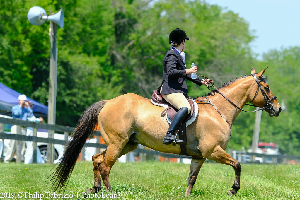 Potomac Hunt Races-4 | Montgomery Community Media