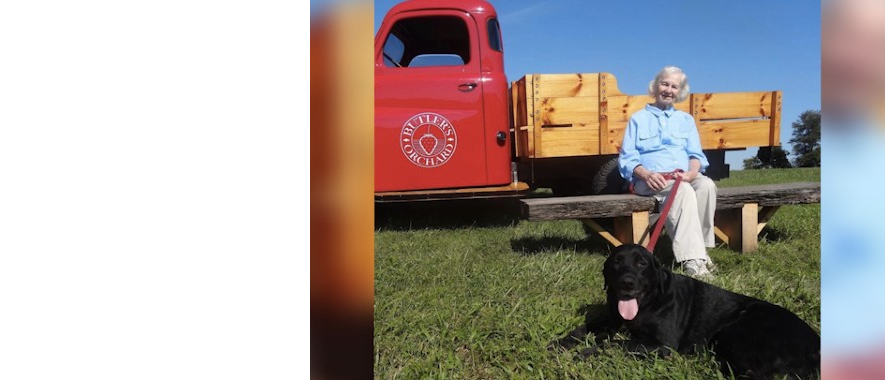 Shirley Butler's Instagram, Twitter & Facebook on IDCrawl