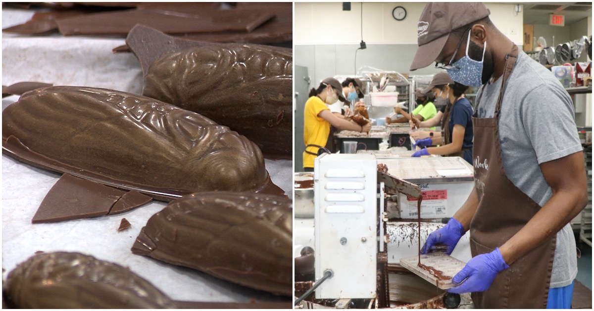 How Sweet It Is: Gaithersburg Candy Company Selling Chocolate Covered ...