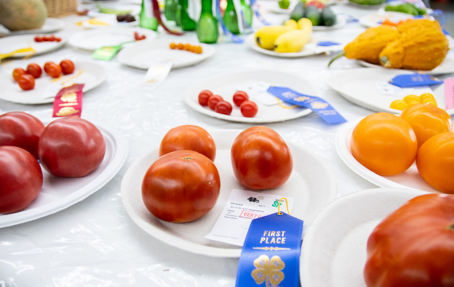 Scenes From the Montgomery County Fair, One of MoCo's Great Traditions ...