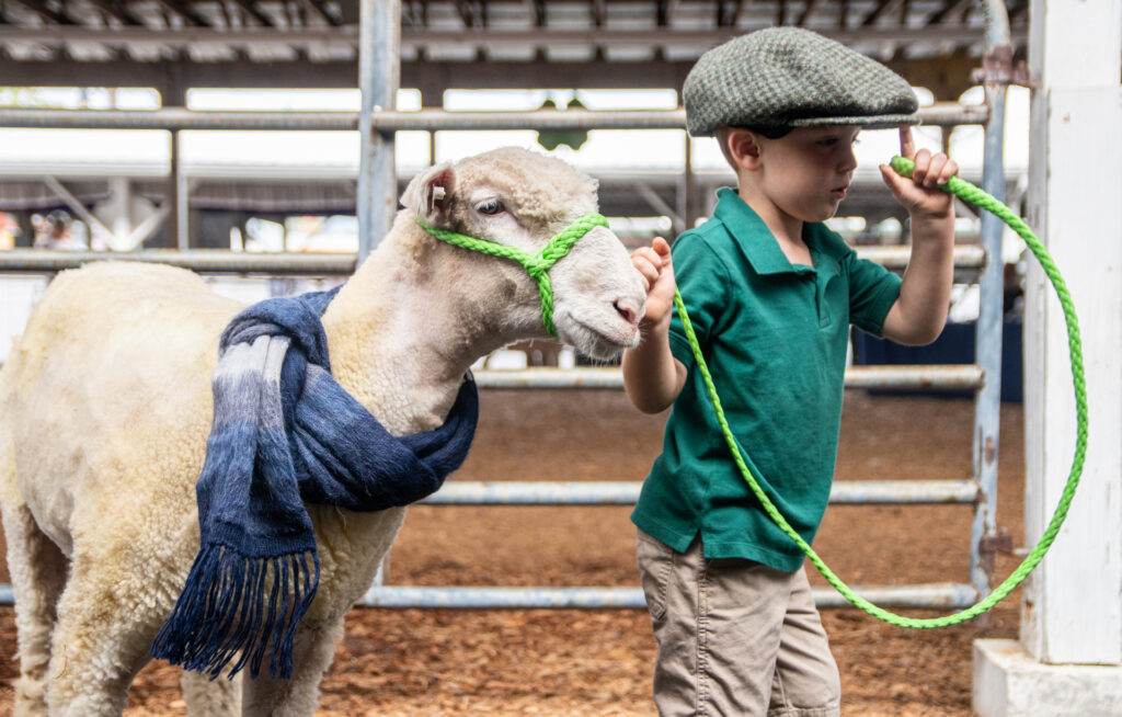 Scenes From the Montgomery County Fair, One of MoCo's Great Traditions ...
