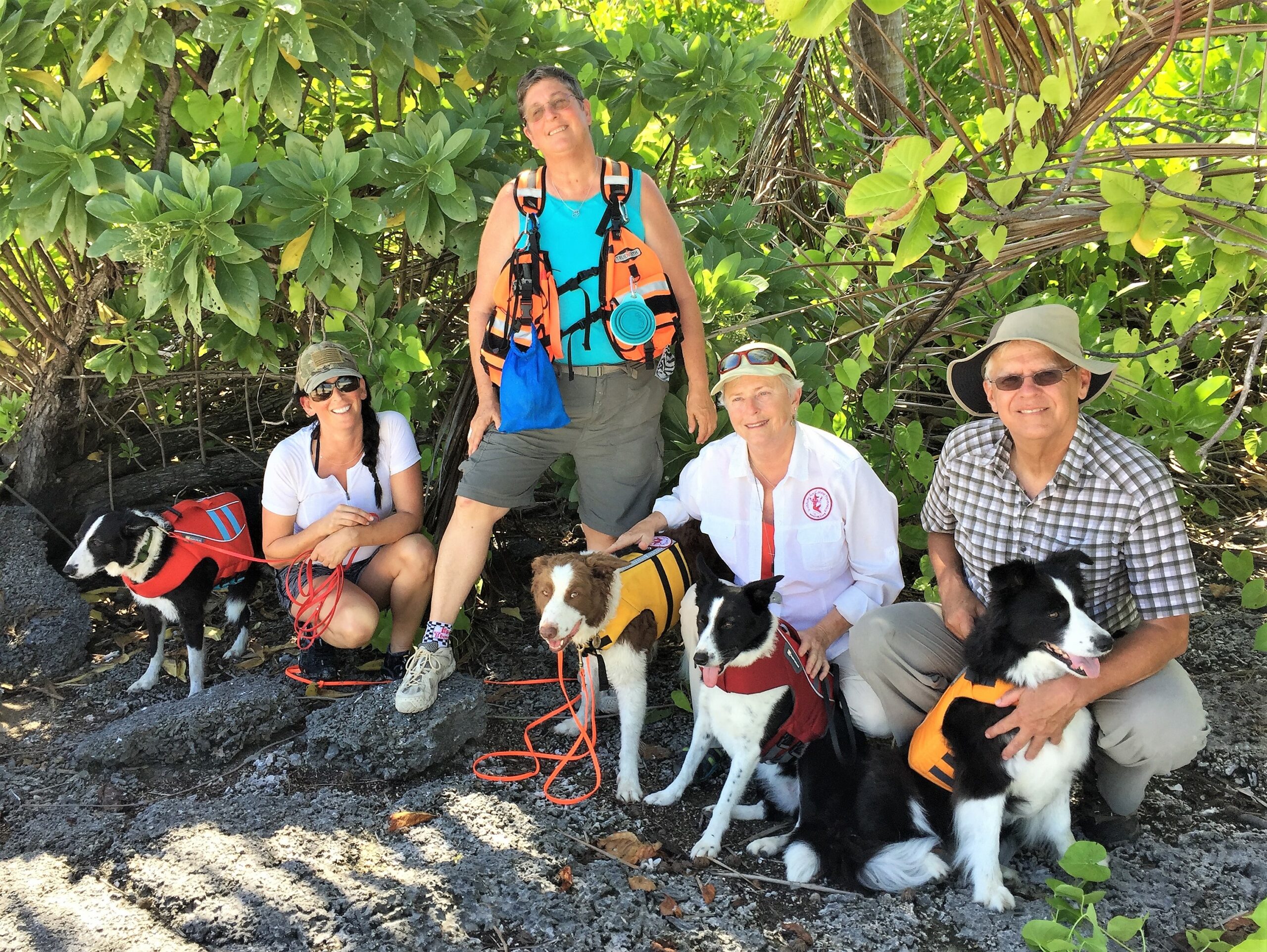 H. Four forensic dogs on Niku | Montgomery Community Media